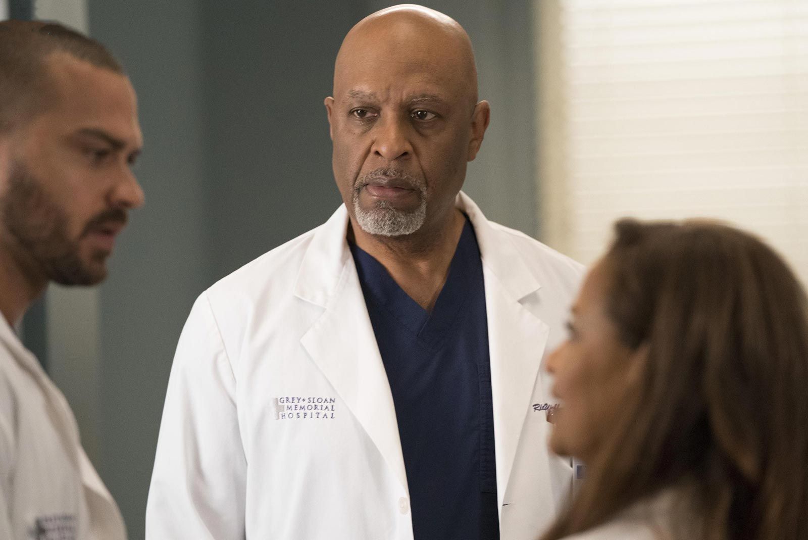 Grey's Anatomy : Grey's Anatomy : Photo James Pickens Jr. - 812 sur ...