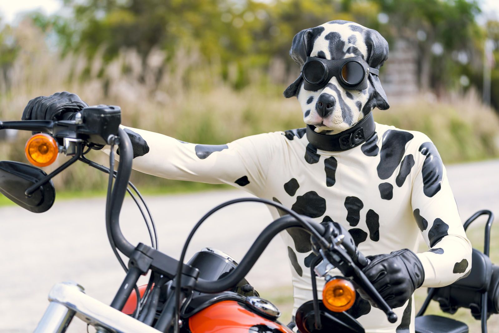 Preacher : Preacher : Photo - 135 sur 273 - AlloCiné