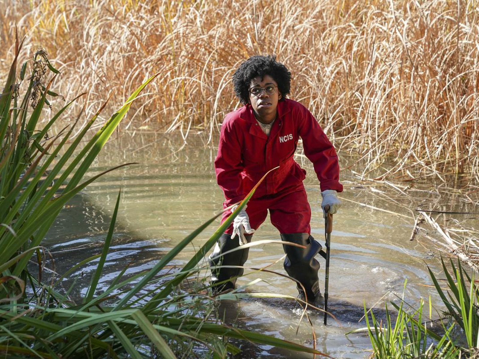 Photo de Diona Reasonover - NCIS : Enquêtes spéciales : Photo Diona ...