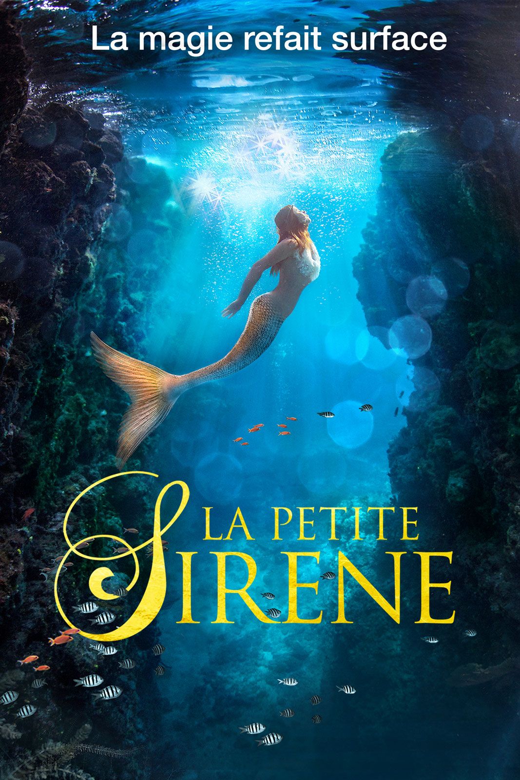La Petite Sir ne Film 2018 AlloCin La Petite Sir ne Film 2018 AlloCin