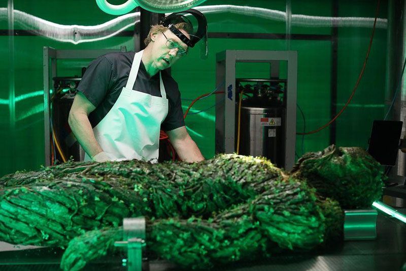 Swamp Thing : Swamp Thing : Photo Kevin Durand, Derek Mears - 23 sur 69 ...