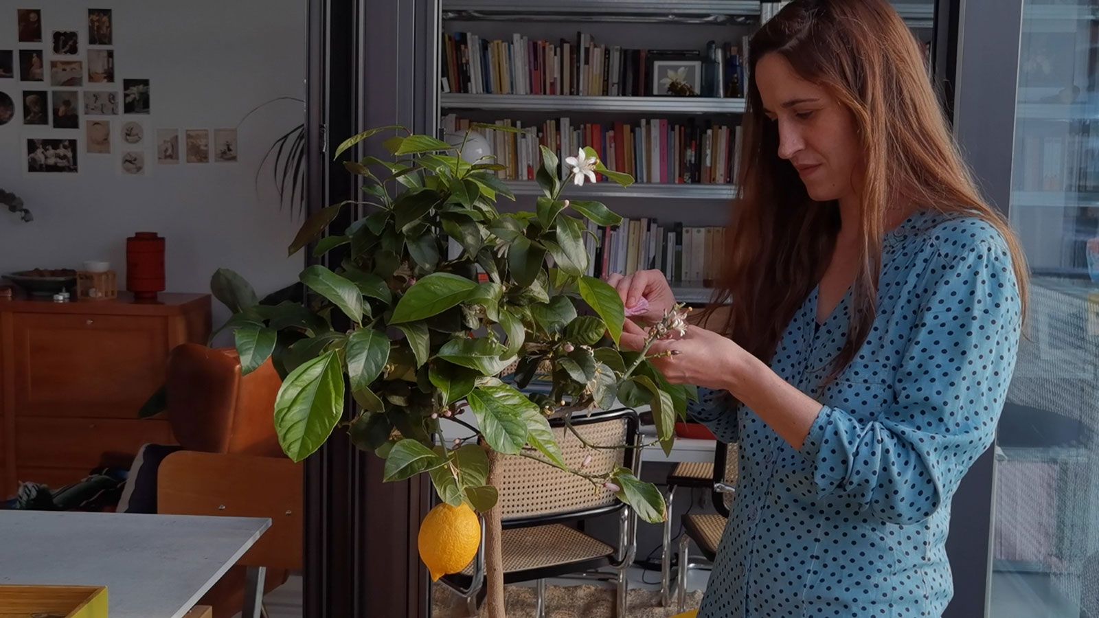 En casa : En casa : Photo - 7 sur 7 - AlloCiné