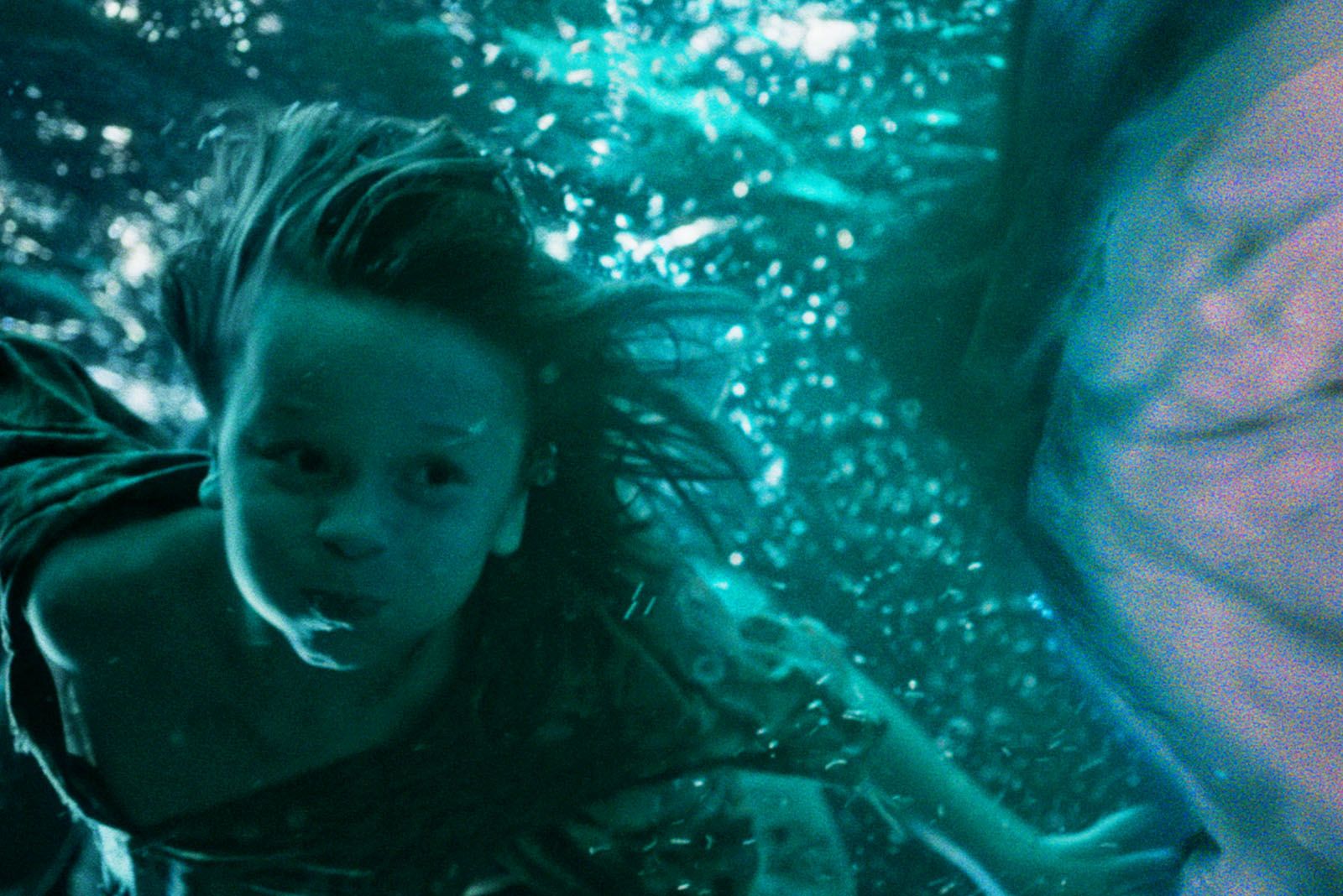 Photo du film Wendy - Photo 8 sur 18 - AlloCiné