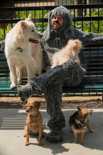 Wilfred (2011) : Wilfred (2011) : Photo Jason Gann - 4 sur 85 - AlloCiné