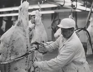 Photo du film Meat - Photo 2 sur 4 - AlloCiné