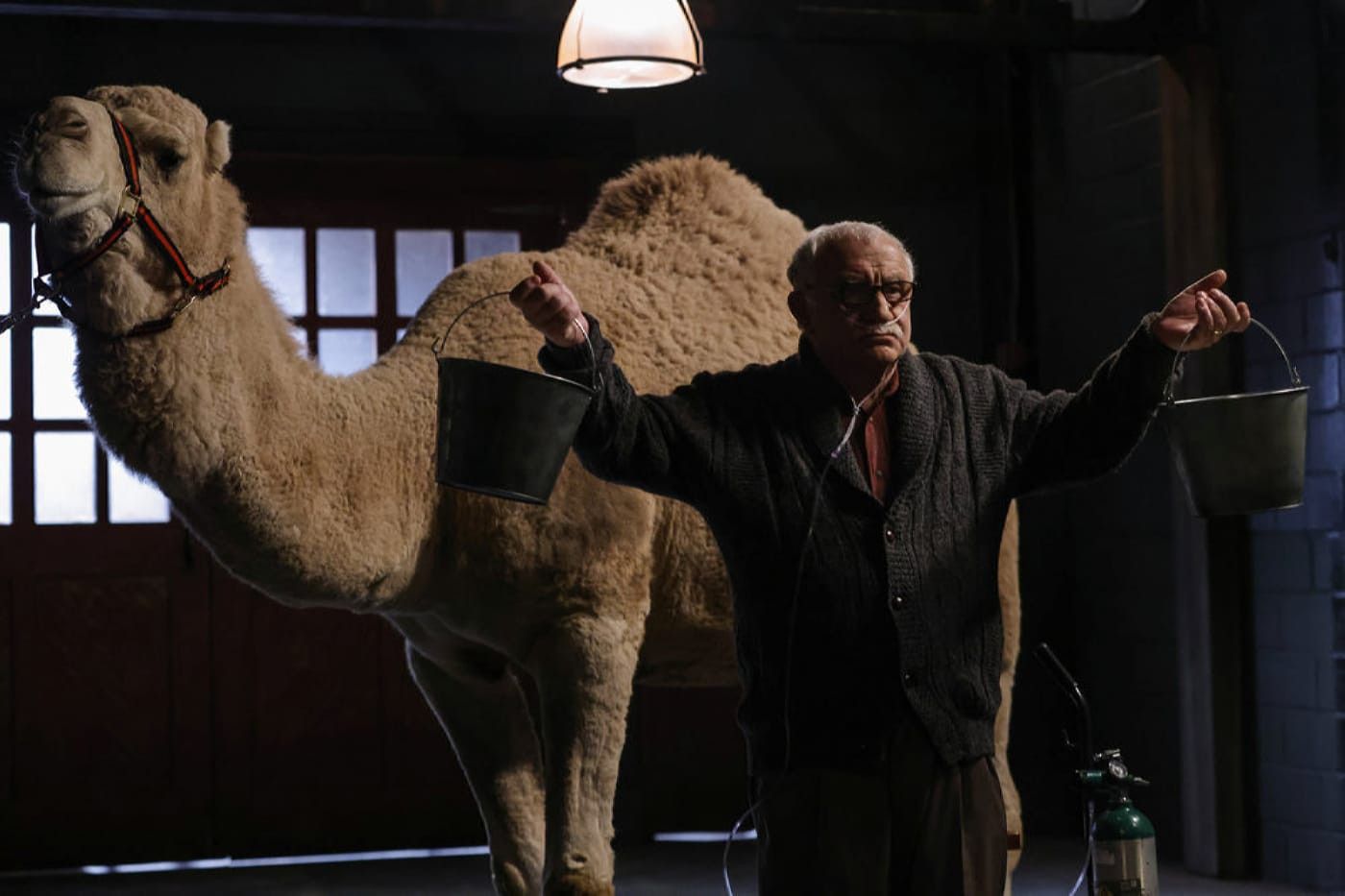 Blacklist : Blacklist : Photo Teddy Coluca - 34 sur 1010 - AlloCiné