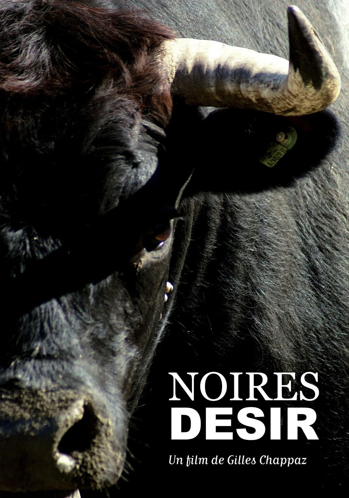 Noires Désir - Film documentaire 2013 - AlloCiné
