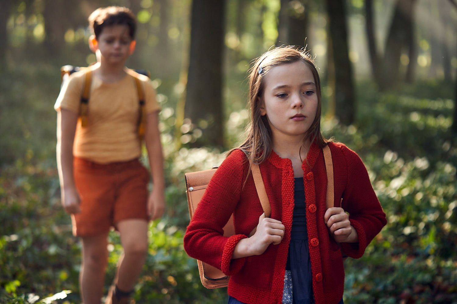 Photo du film Le rêve de l’okapi - Photo 8 sur 12 - AlloCiné