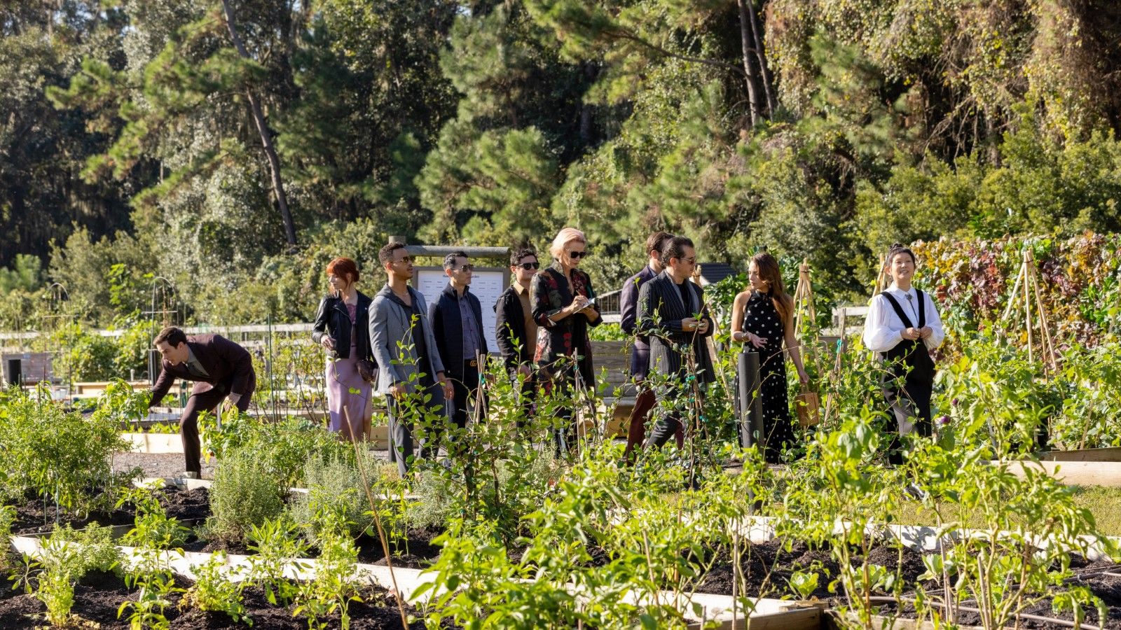 Photo du film Le Menu - Photo 16 sur 20 - AlloCiné