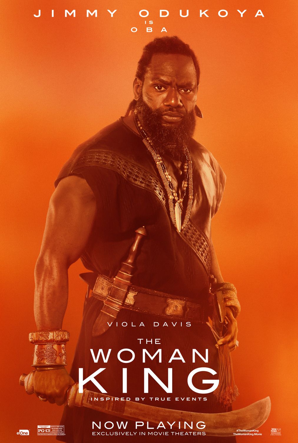 Affiche du film The Woman King - Photo 9 sur 36 - AlloCiné