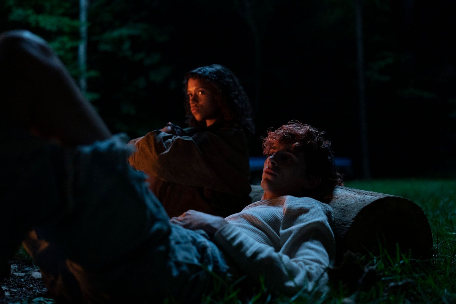 Photo du film Bones and All - Photo 3 sur 18 - AlloCiné