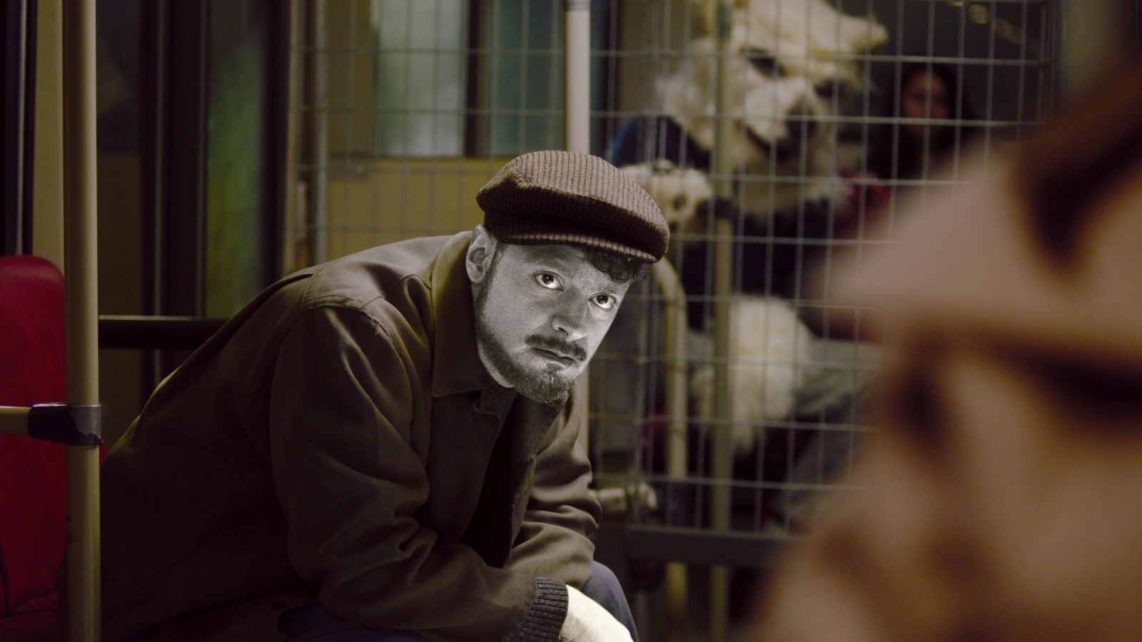 Photo du film The Ordinaries - Photo 9 sur 14 - AlloCiné