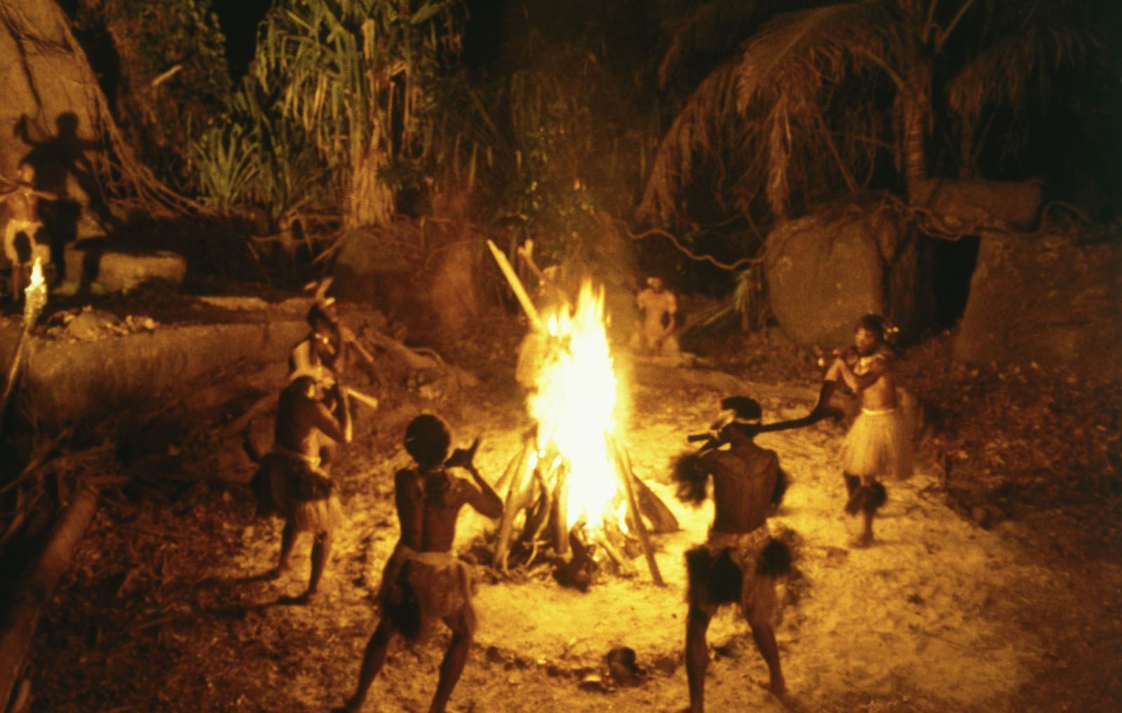 Photo du film Le Lagon Bleu - Photo 3 sur 5 - AlloCiné