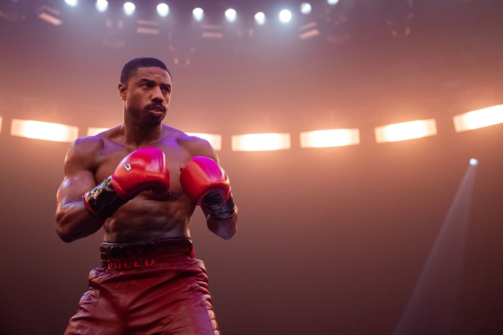 Photo du film Creed III - Photo 17 sur 25 - AlloCiné