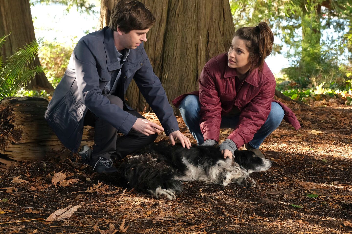 Good Doctor : Good Doctor : Photo Freddie Highmore, Paige Spara - 21 ...