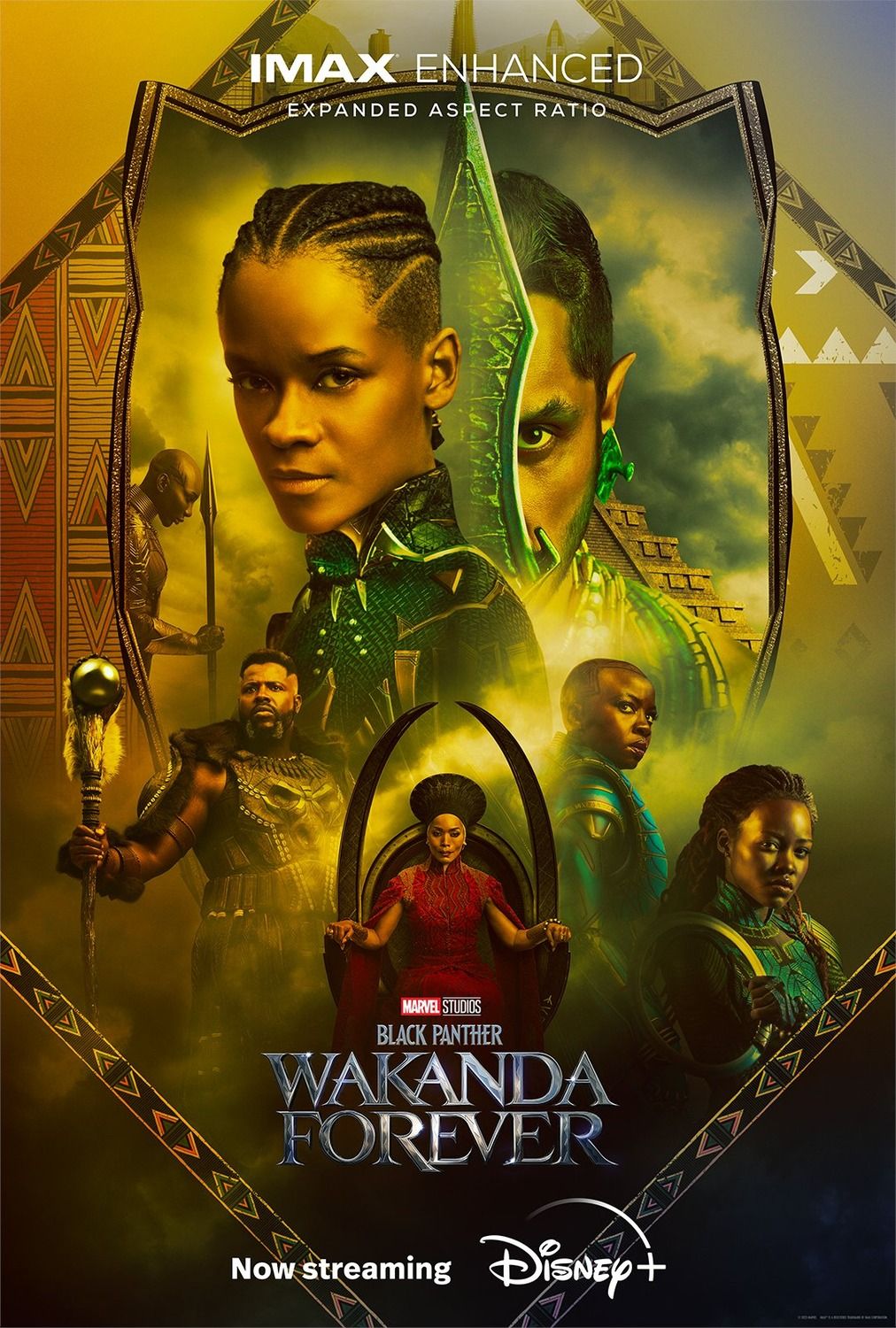 Affiche du film Black Panther: Wakanda Forever - Photo 1 sur 49 - AlloCiné