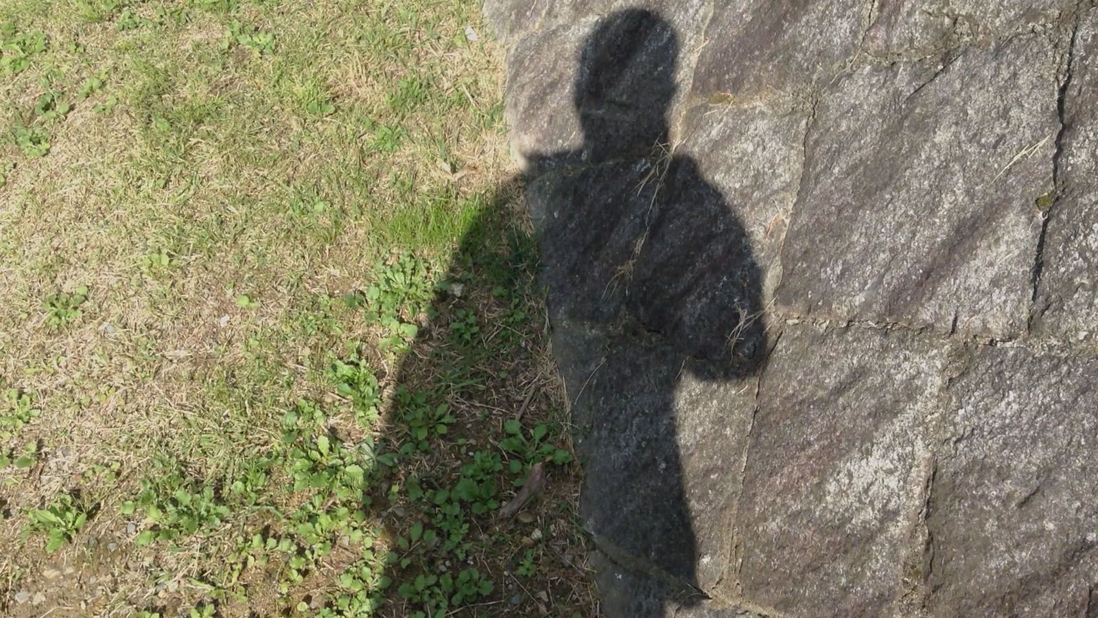 Photo du film Une fourmi contre-attaque - Photo 7 sur 9 - AlloCiné