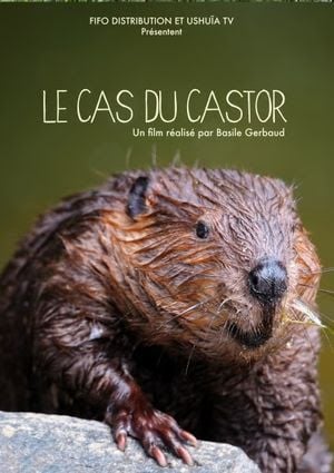 Le Cas du castor - Court Métrage - AlloCiné
