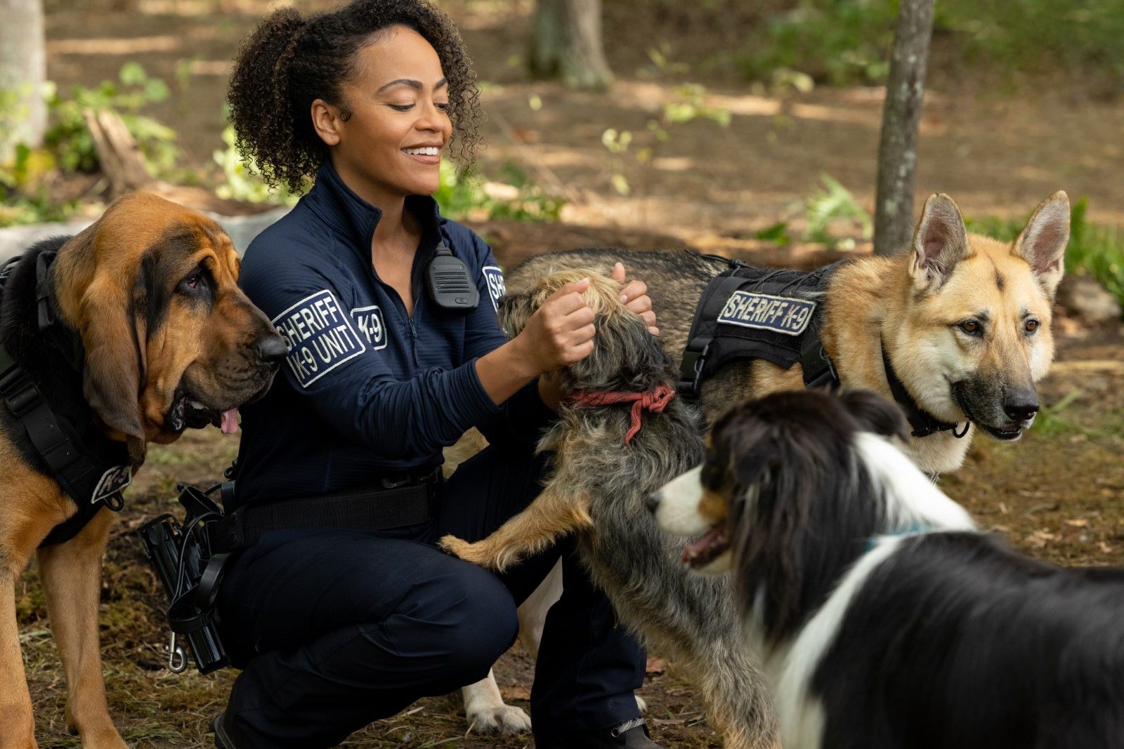 Photo du film Backstreet Dogs - Photo 17 sur 29 - AlloCiné