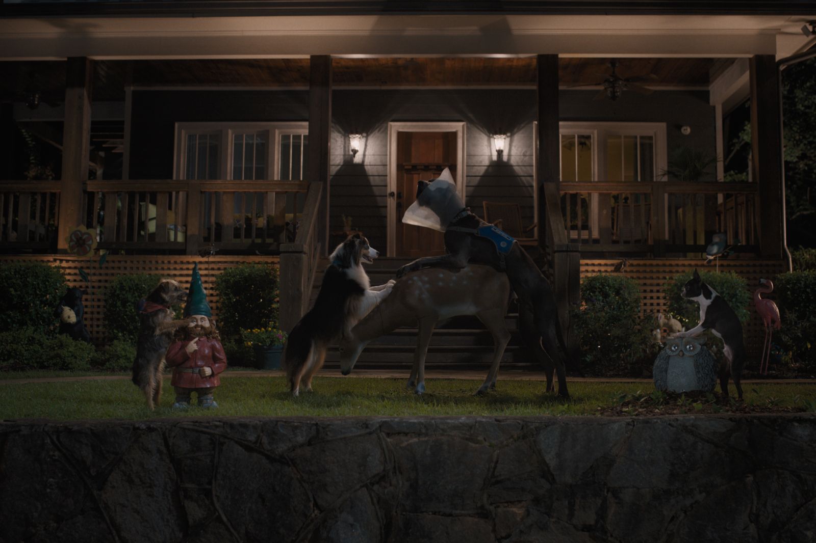 Photo du film Backstreet Dogs - Photo 2 sur 29 - AlloCiné