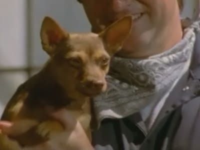 Poster Power Rangers saison 10 - Affiche 513 sur 980 - AlloCiné