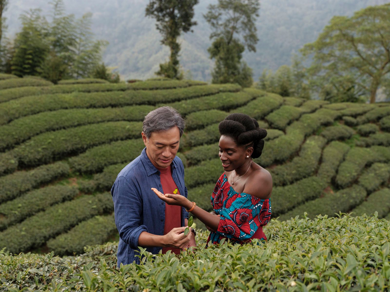 Photo du film Black Tea - Photo 13 sur 21 - AlloCiné