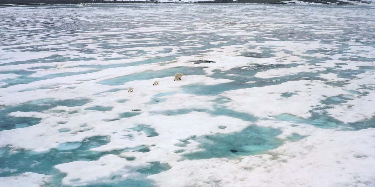 Nos océans : Nos océans : Photo - 6 sur 17 - AlloCiné