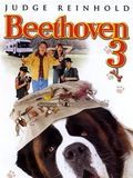 Affiche du film Beethoven 3 - Photo 2 sur 2 - AlloCiné