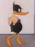 Photo de The Wise Quacking Duck - Photo 1 sur 1 - AlloCiné