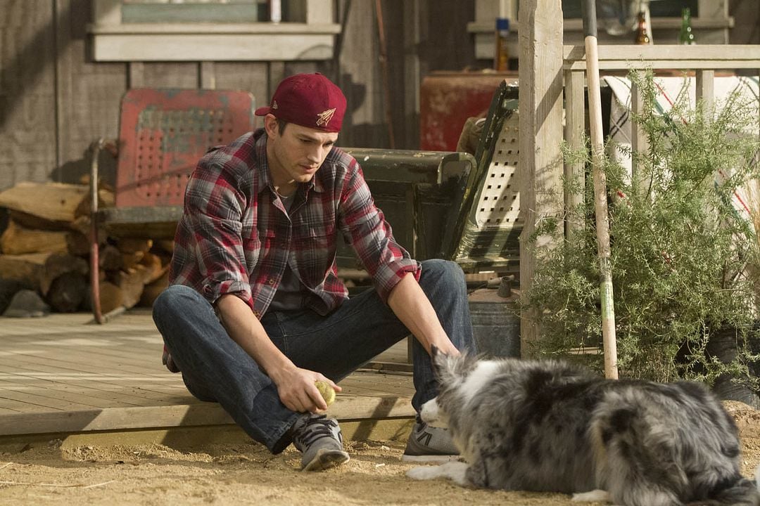 The Ranch : The Ranch : Photo Ashton Kutcher - 125 sur 146 - AlloCiné