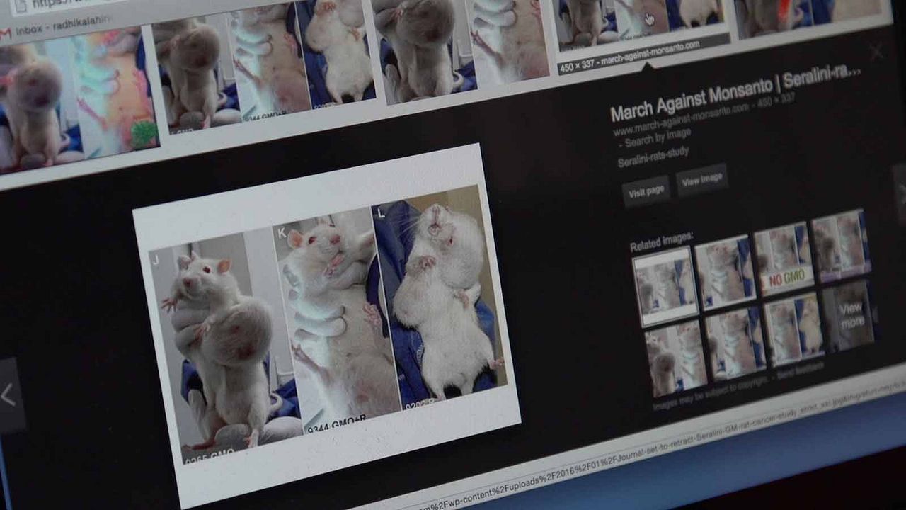 Photo du film Food Evolution - Photo 3 sur 9 - AlloCiné