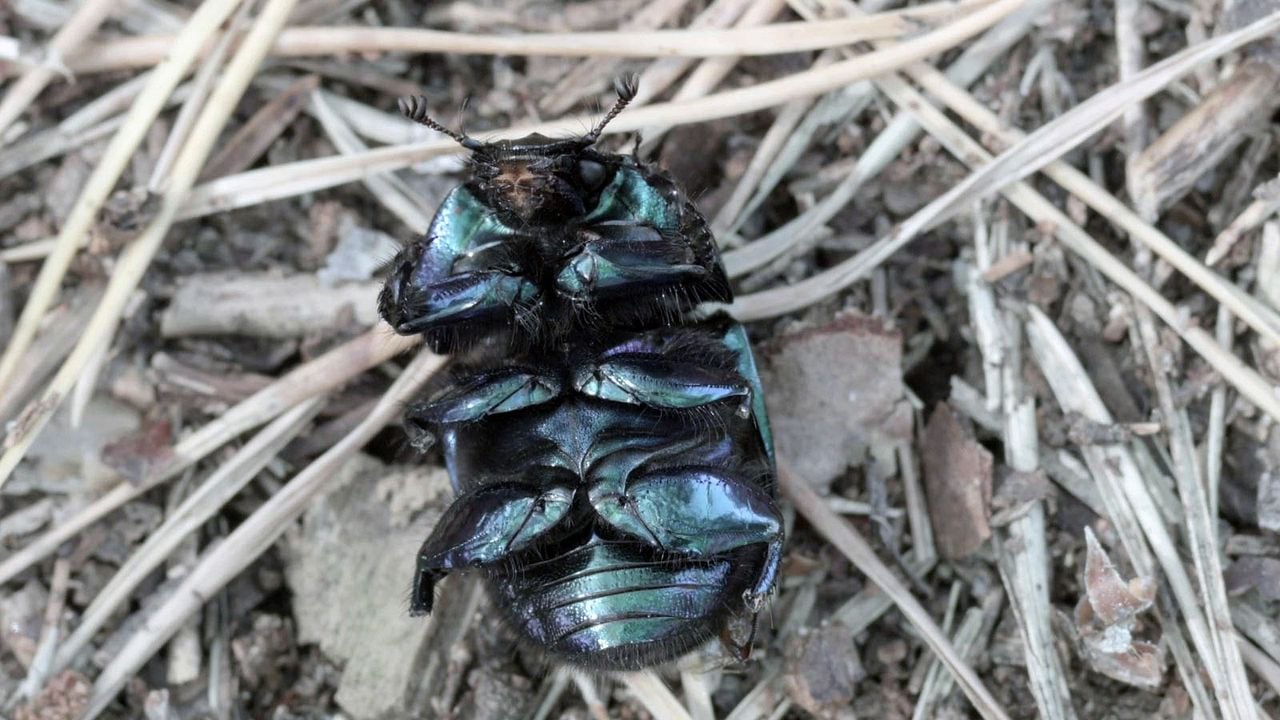 Photo du film Hypérion s’est échappé - Photo 7 sur 8 - AlloCiné