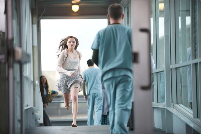 Si je reste - If i stay - Glandeur Nature