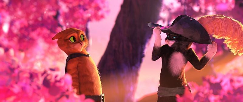 Le Chat Potté 2 : la dernière quête (2022) au Cinéma Rochefort - Apollo 8